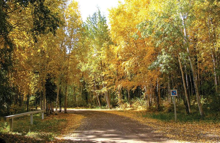 Fort Simpson Territorial Park | NWT Parks